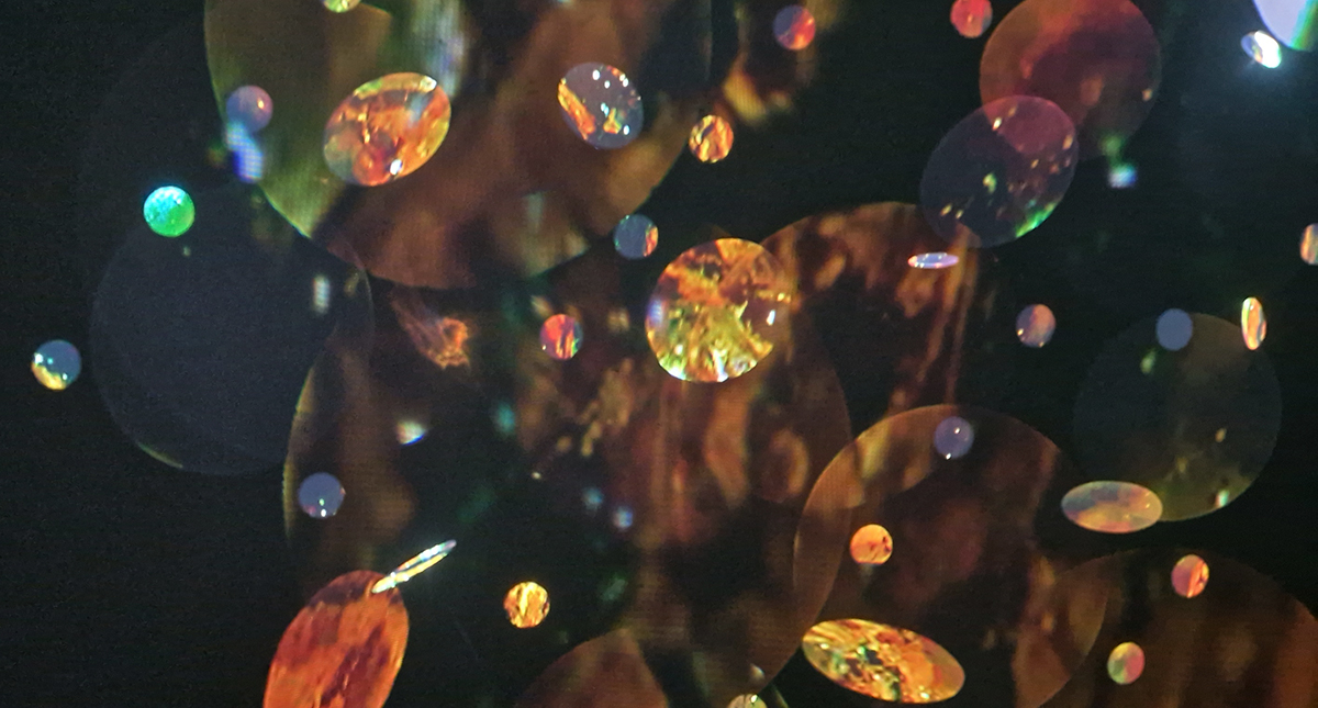 equivalence | Susan Eyre