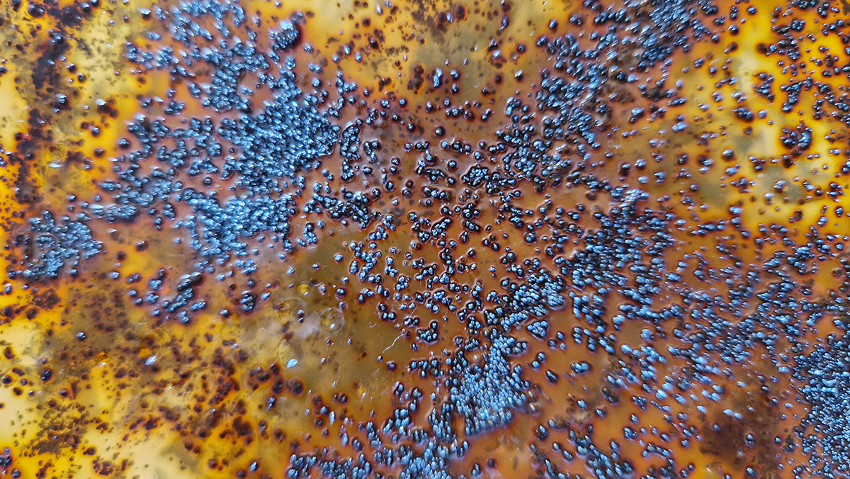 encompassing a spectrum | Susan Eyre